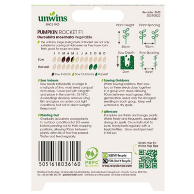 Unwins Pumpkin Rocket F Easy To Grow Seeds