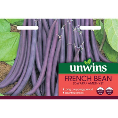 Unwins Vegetable Seeds French Bean Dwarf Amethyst