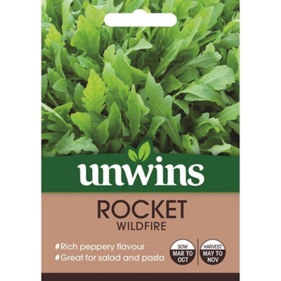 UNWINS VEGETABLE SEEDS ROCKET WILDFIRE