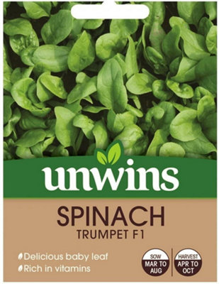 Unwins Vegetable Seeds Spinach Trumpet F1