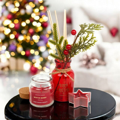 URBNLIVING 100ml Winter Berry Reed Perfume Diffuser Scented Candle ...