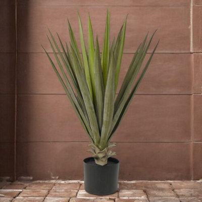URBNLIVING 75cm Large Green Yucca Elephantipes Plant Evergreen Indoor ...