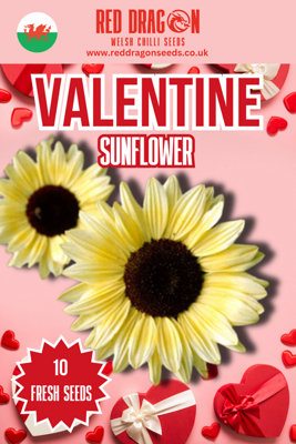 Valentine Sunflower Seeds - 10 Fresh Seeds