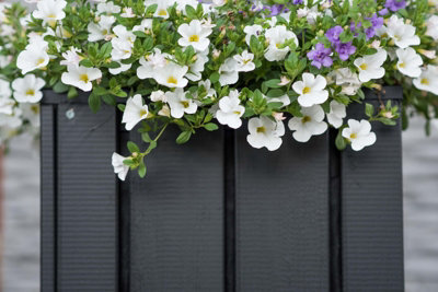 Valmiera Square Planter on Wheels - Wood - L35 x W35 x H37 cm - Black