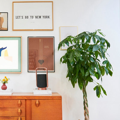 ValueLights Contemporary Copper Metal Lantern Frame Black Cylinder ...