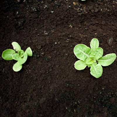 Vegegrow Top Soil 30L Bag by Jamieson Brothers