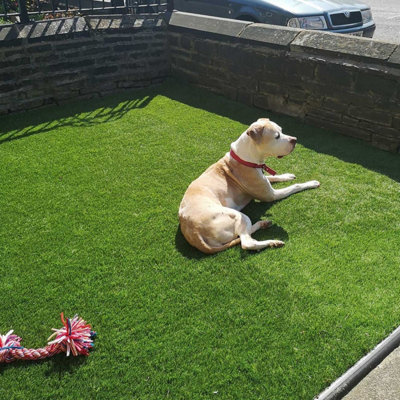Velvet 40mm Super Soft Outdoor Artificial Grass, Premium Artificial ...