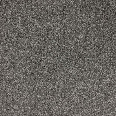 Veneto Deep Pile Carpet by Remland (Cast iron, 2m x 4m) | DIY at B&Q