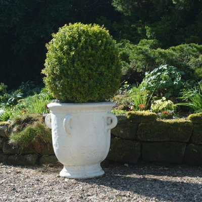 Very Large Rustic Ancient Pot With Ring Handles