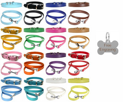 Vibrant Leather Dog Collar & Lead Combo Set for Puppy, Dogs Small ...
