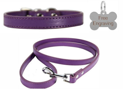 Vibrant Leather Dog Collar & Lead Combo Set for Puppy, Dogs Small ...