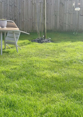 Vibraseeds Matting With Grass Mix, Grass seeds, Grass, real grass ...
