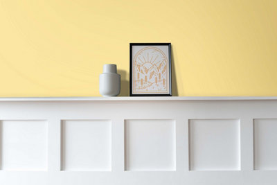 Vintro Luxury Matt Emulsion Light Yellow Multi Surface Paint for Walls ...