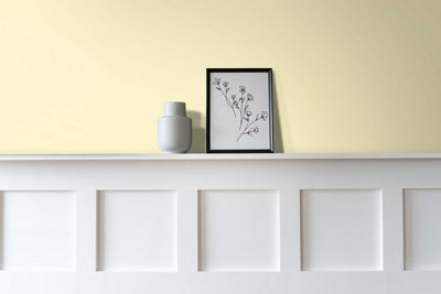 Vintro Luxury Matt Emulsion Pale Yellow Multi Surface Paint for Walls ...