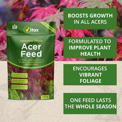 Vitax Acer Feed, Suitable For All Japanese Maple In Borders, Pots ...