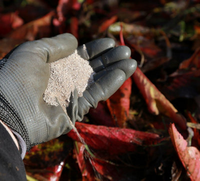 Vitax Compost Maker 10kg Speeds Up Garden Waste Composting for Rich ...