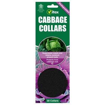 Vitax Pack of 30 Biodegradeable Cabbage Collars - Protects Brassicas ...