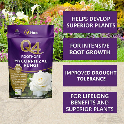 VITAX Q4 ROOTMORE MYCORRHIZAL FUNGI 250G ORGANIC ROOT STIMULANT WITH ...