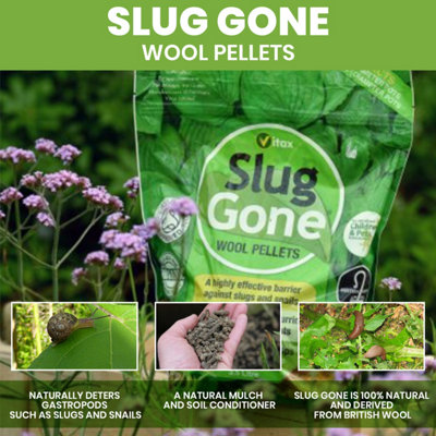 Vitax Slug Gone 1L Natural Wool Pellets for Organic Gardens Protect ...