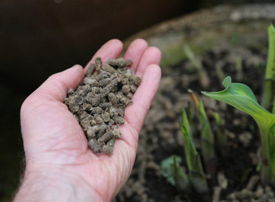 Vitax Slug Gone Wool Pellets Natural Organic Barrier To Protect Borders ...