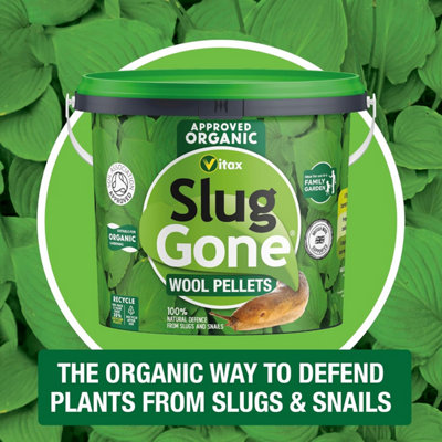 Vitax Slug Gone Wool Pellets, Natural, Organic Barrier To Protect ...