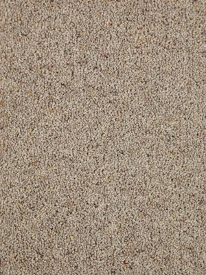 Vitronic Berber 80/20 Luxury Wool Carpet - 40oz Pile by Remland (Elder ...