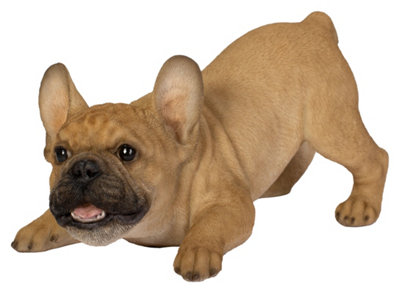 Vivid Arts Active Pups Golden French Bulldog (Size D) | DIY at B&Q
