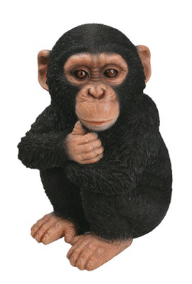 Vivid Arts Real Life Baby Chimpanzee (Size F)