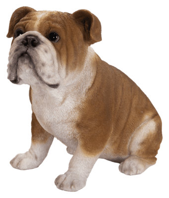 Vivid Arts Real Life Bulldog (Size D)