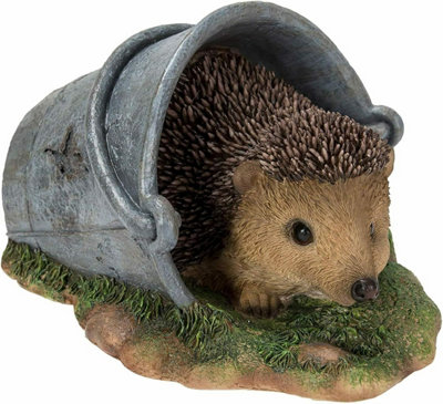 Vivid Arts Real Life Hedgehog in Rusty Pail Garden Decoration