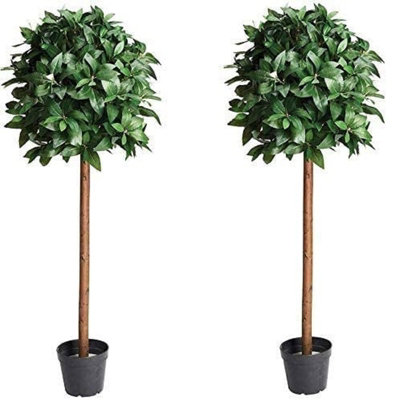Wadan Set of 2 Artificial Bay Laurel Trees - 4ft High Artifical Tree ...