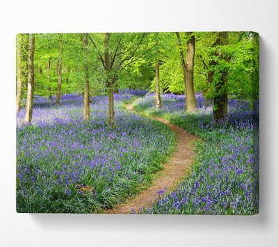 Walk Through The Bluebell Path Canvas Print Wall Art - Medium 20 x 32 ...