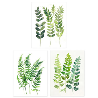 Wall Art Print Set of 3 Fern Fronds Leaves Botanical Watercolour