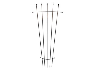 Wall Mounted Fan Trellis - 5ft (1.5m) Tall - Sold in Packs of 2, Plant ...