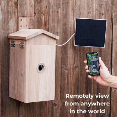 Walnut smart bird house and Camera with Solar Panel