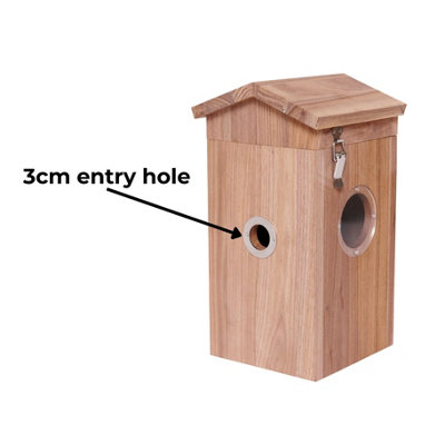 Walnut smart bird house and Camera with Solar Panel
