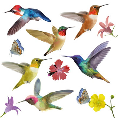 Walplus Big Hummingbirds Double-Sided Window Clings - 58Pcs Bird Window ...