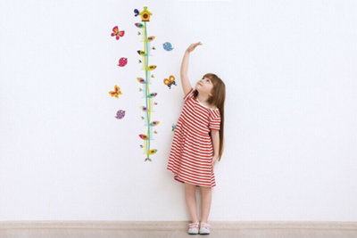 Walplus Butterflies Height Measure, Birds Height Chart, Children Wall ...