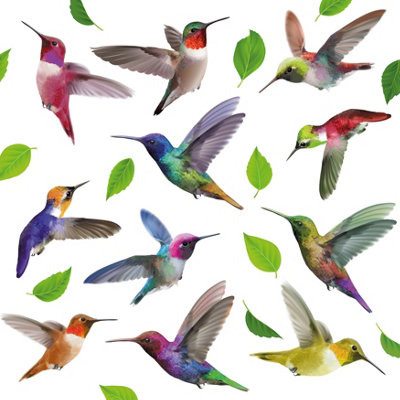 Walplus Small Hummingbirds Double-Sided Window Clings - 12Pcs Bird ...