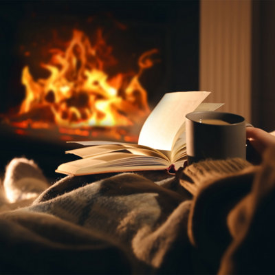 Warma Premium Tinder Dry Wood BBQ Stove Burner Fuel Kindling Sticks 1 x ...