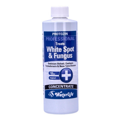 WATERLIFE PROTOZIN WHITE SPOT FUNGUS FISH TANK AQUARIUM DISEASE ...