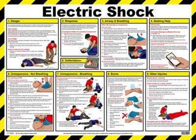 Way4now Electric Shock Poster Laminated - 590 x 423mm
