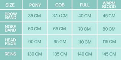 Weatherbeeta 300d Reflective Exercise Sheet Orange (L)