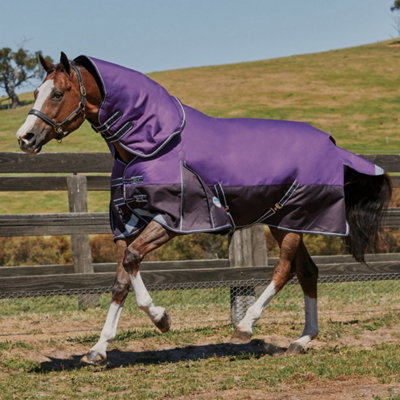 Weatherbeeta Comfitec Lite Plus Dynamic ach-A-Neck Turnout Rug Purple ...