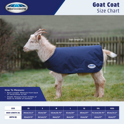 Weatherbeeta Goat Coat Navy (XL)
