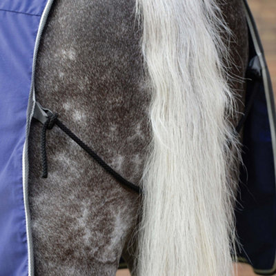 Weatherbeeta Standard-Neck Cotton Horse Exercise Sheet Dark Blue/Grey ...