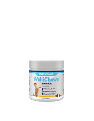 Wellichew - Multi-Vitamin Dog 60 Chews - 115g