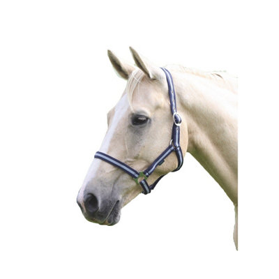 Wessex Horse Headcollar Navy/Silver (Cob)