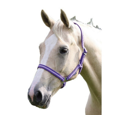 Wessex Horse Headcollar Purple/Lilac (Cob)