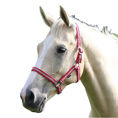 Wessex Horse Headcollar Red/Silver (Full) | DIY at B&Q